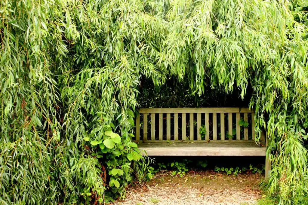 Japanese Garden Bench Materials | Simplicity and Elegance - Better ...