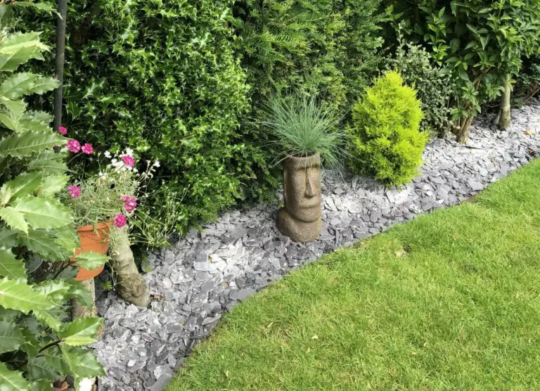 7 Low-Maintenance Garden Border Plants & Ideas | BetterLandscaping