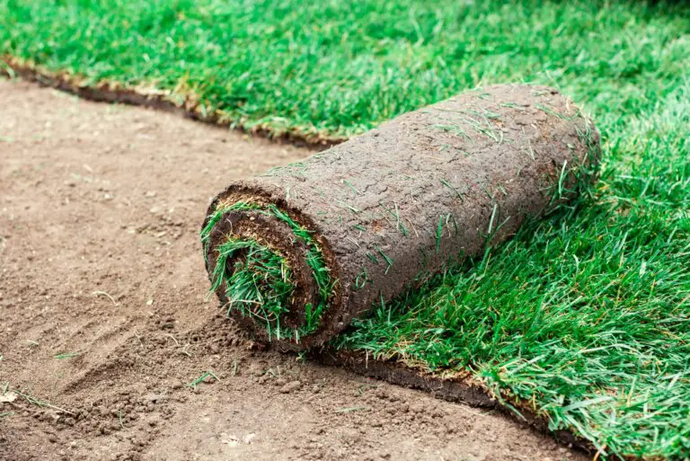 How to Lay Sod Over Your Existing Lawn | BetterLandscaping