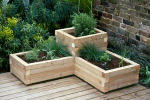 7 Timber Garden Edging Ideas | BetterLandscaping
